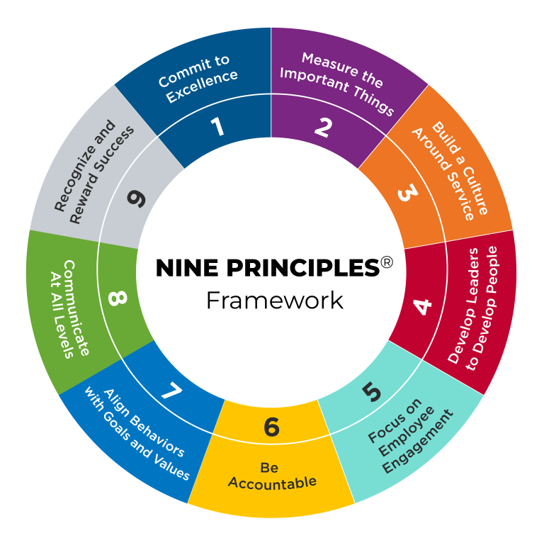 The Nine Principles Framework: A Foundational Guide to Organizational ...